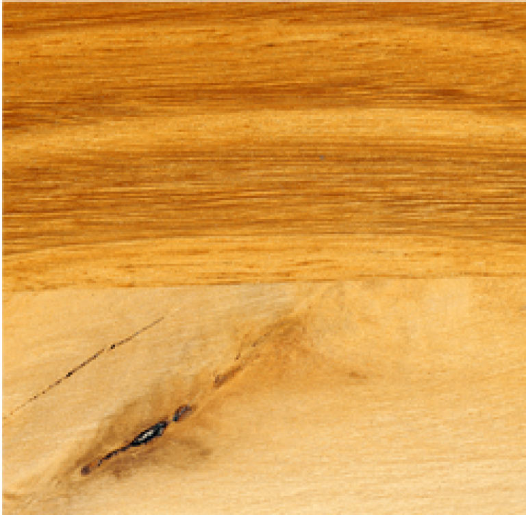 Austwood Australia | Australian Native Eucalypt Logs