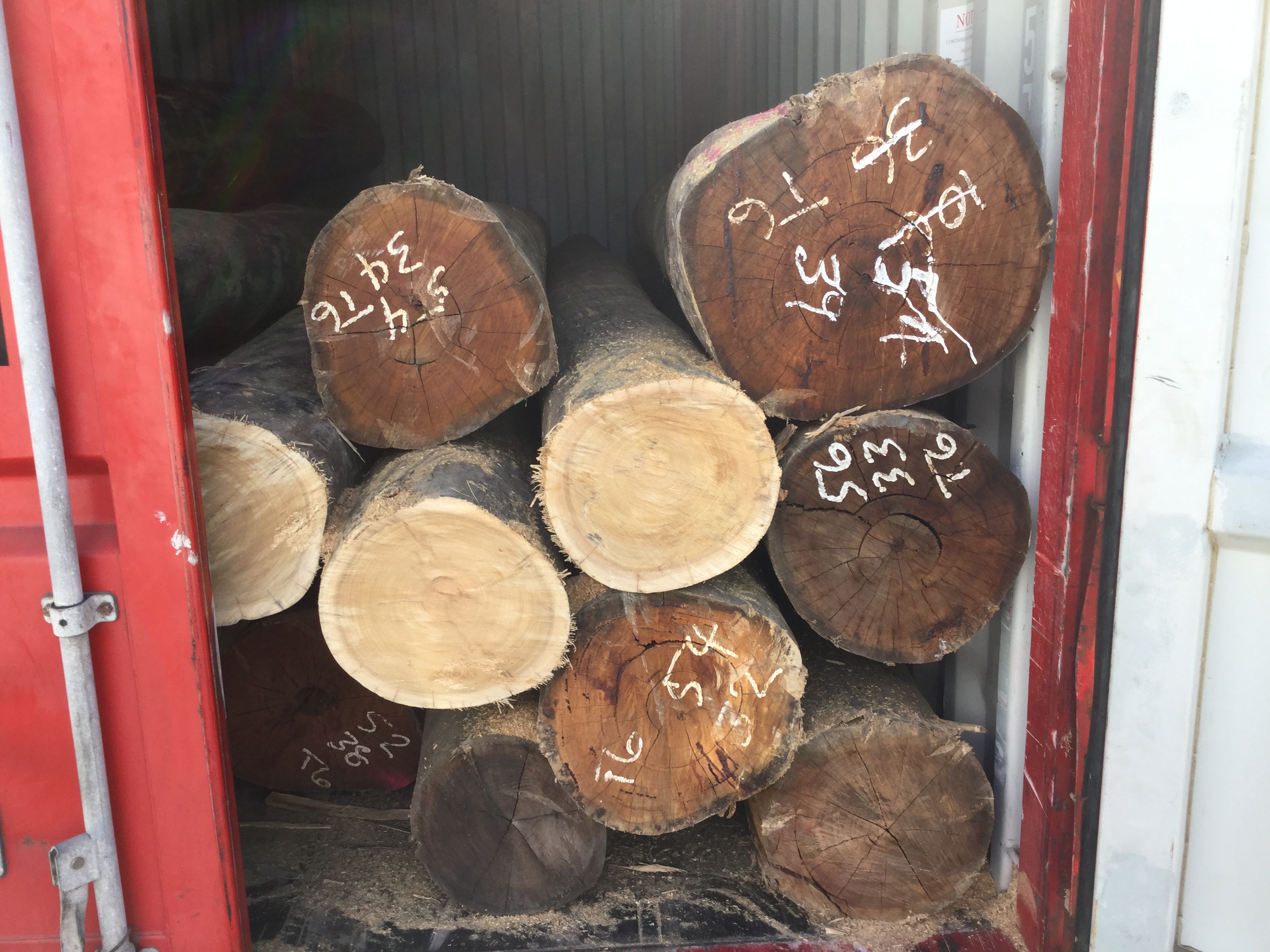 Austwood Australia | Spotted Gum